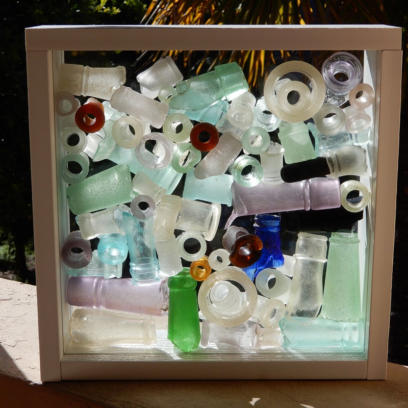 Sea Shell Display - Etsy