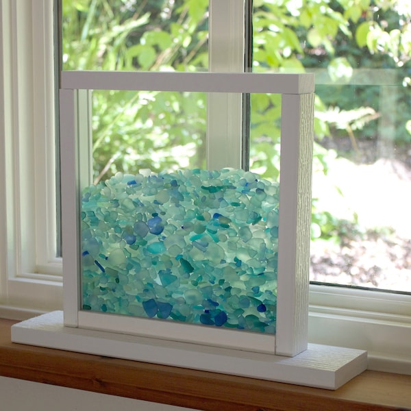 Sea Shell Display - Etsy
