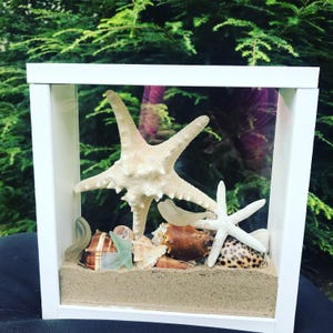 Junior Designer Stand up Sea and Beach Glass Display Window - Etsy