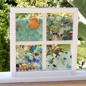 Wanderer Stand up Sea and Beach Glass Display Window With Dividers-4 ...
