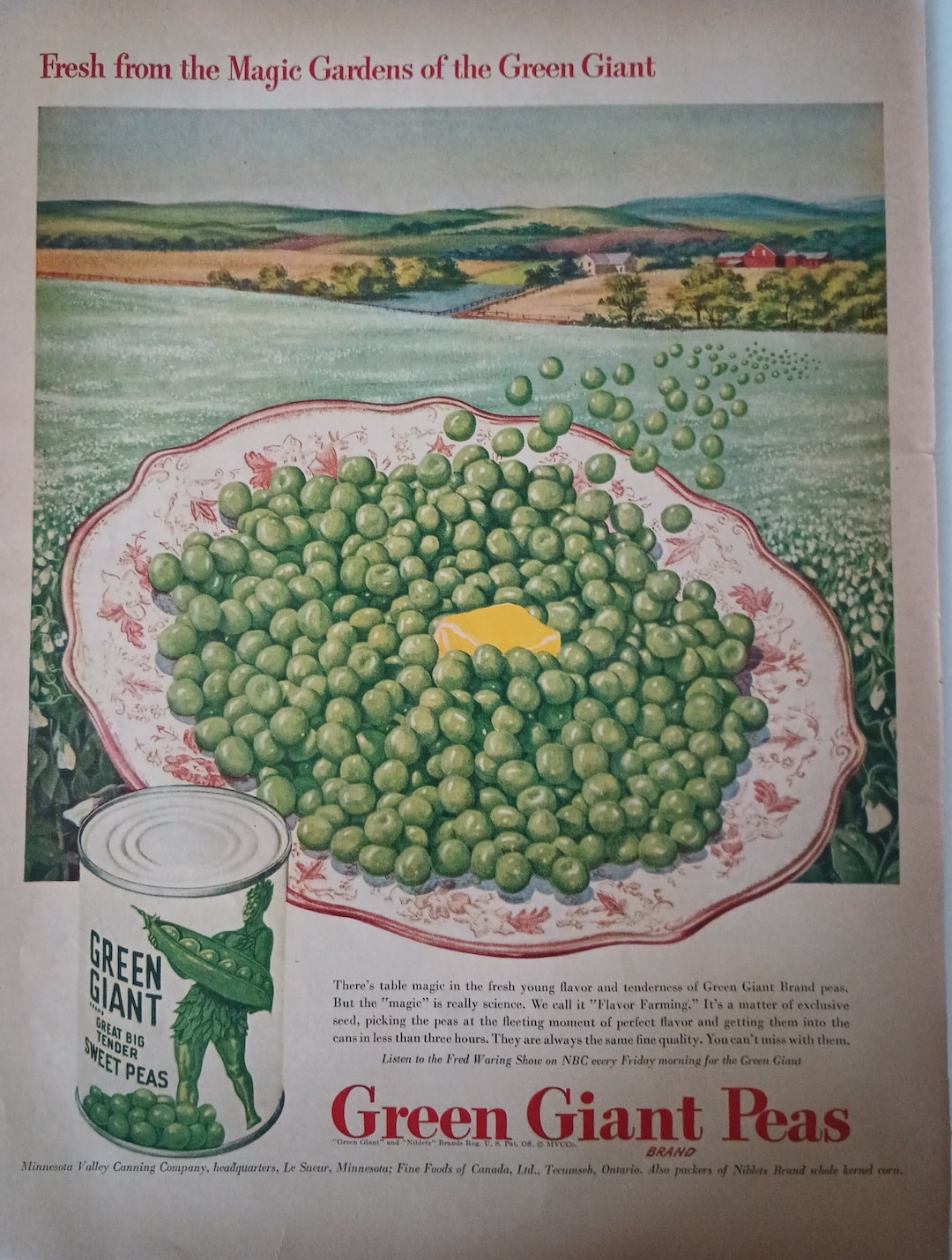 Original Vintage Green Giant Peas Life Magazine Ad 1949 - Etsy