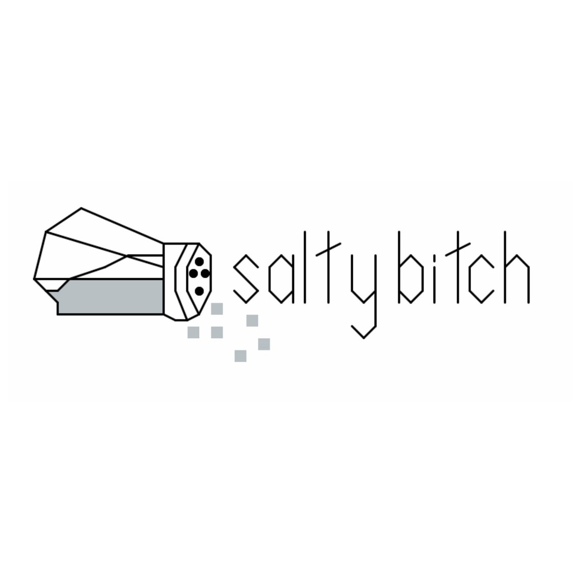 Salty Bitch Salt Shaker Subversive Funny Cute Cross Stitch | Etsy