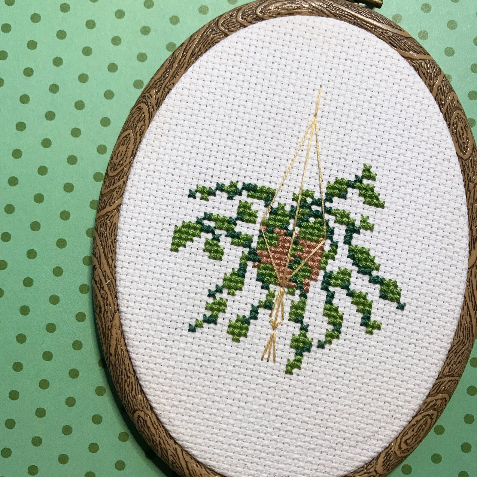 Hanging Ivy Plant Succulent Fern Funny Cute Cross Stitch Pattern ...