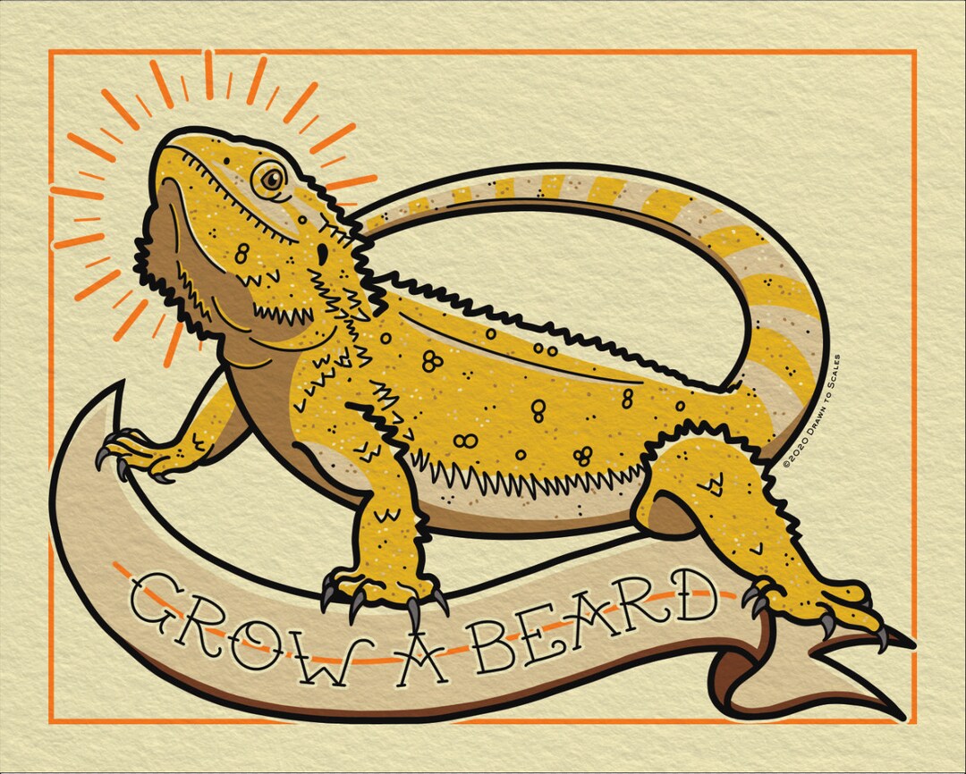 Bearded Dragon Art - Etsy