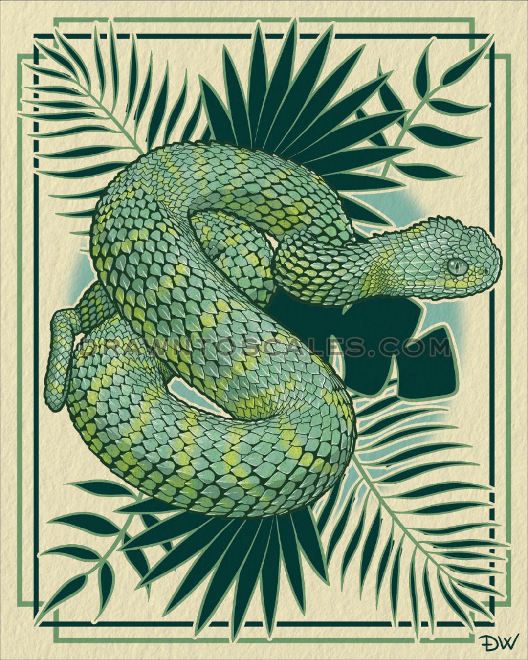 Variable Bush Viper (8" X 10" Print) - Etsy