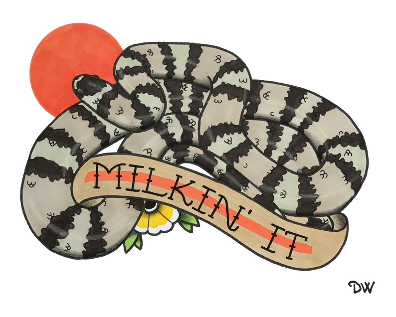 Milk Snake Art | Etsy