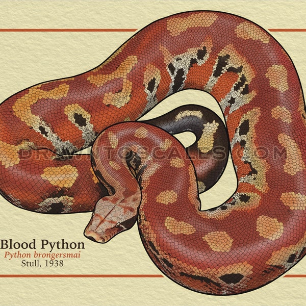Python Print - Etsy