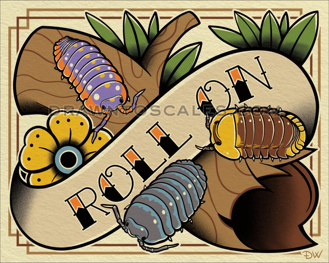 Roll on Isopods (10" X 8" Print) - Etsy
