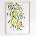 Italian Lemon Wall Art Set of 2 Printable Lemon Tree Artwork - Etsy