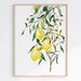 Italian Lemon Wall Art Set of 2 Printable Lemon Tree Artwork - Etsy