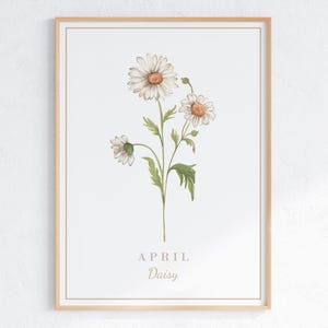 Daisy Watercolor Artwork April Birth Month Flower Print Birthday Gift ...