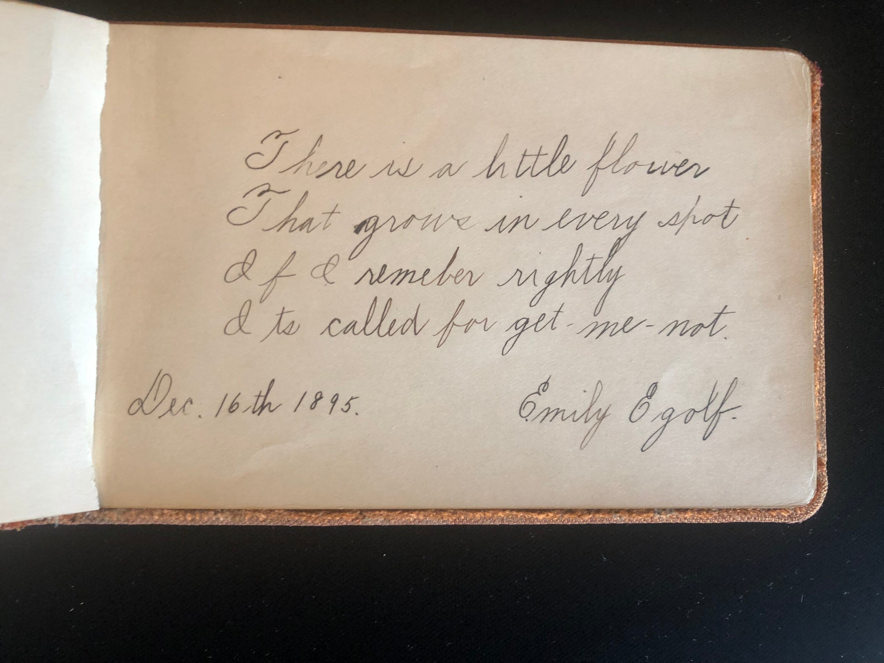 Vintage 1890s Victorian Autograph Album Book in Good Condition - Etsy
