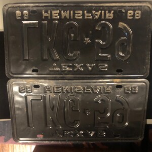 Vintage Matching Set of Two 1968 Texas Hemisfair License Plates - Etsy