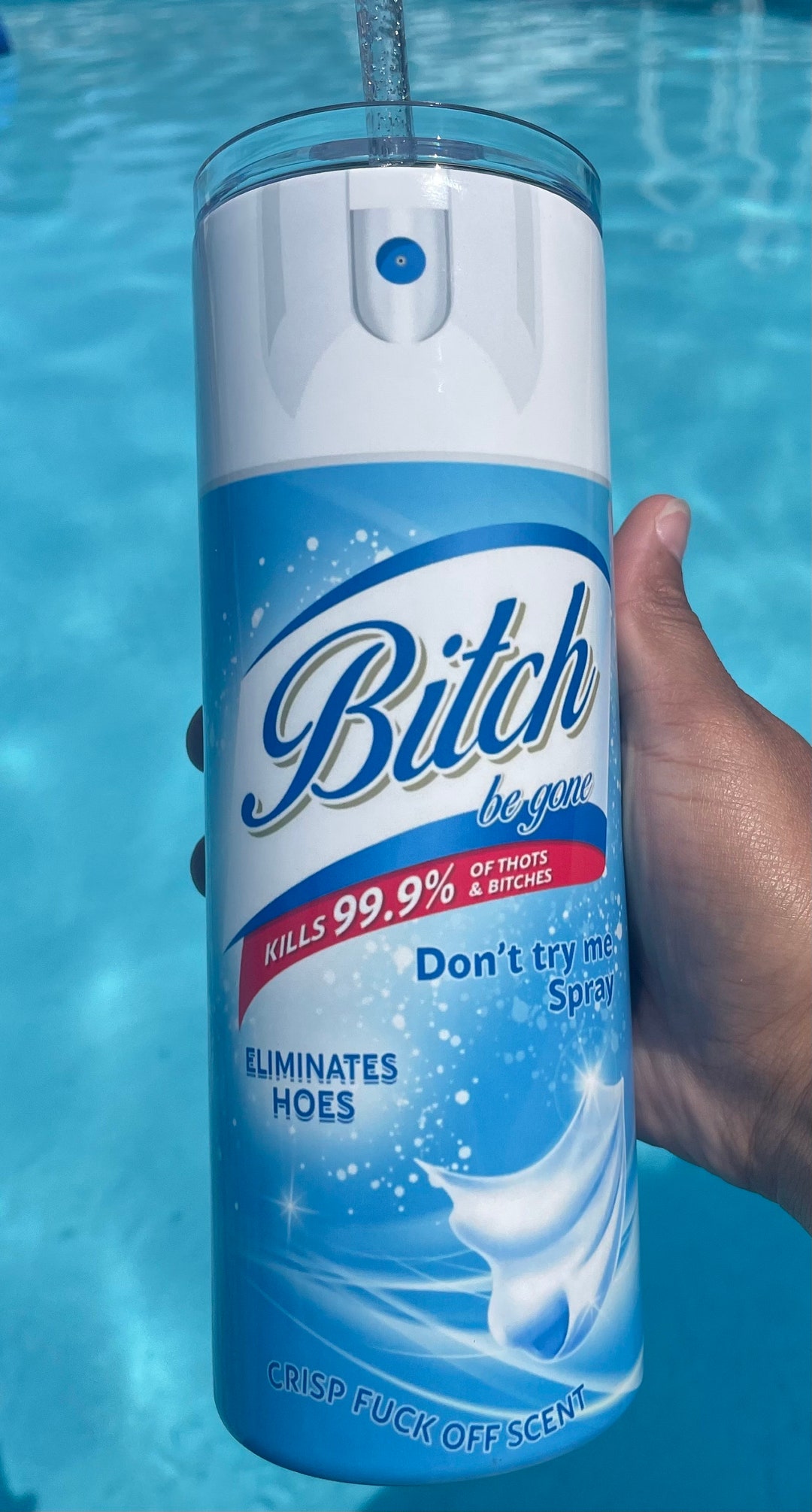 Spray Can 20oz Tumbler, B1tch Be Gone Spray, Bitch Cup, Lysol Spray ...