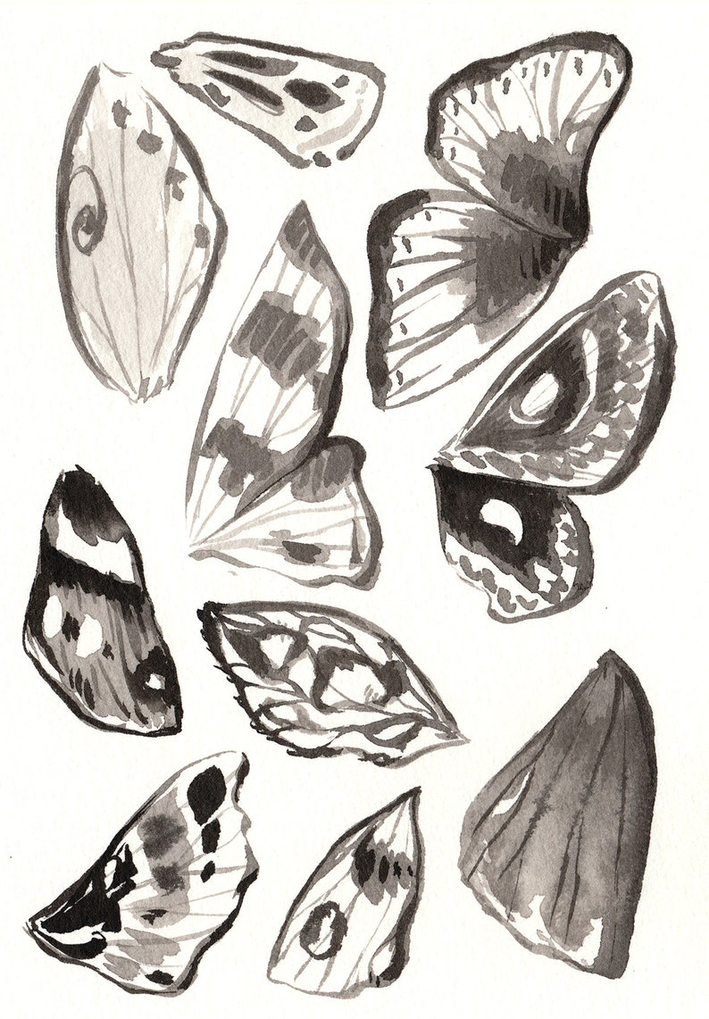 Monochromatic Moth Wings Original Inktober Painting // Insect - Etsy
