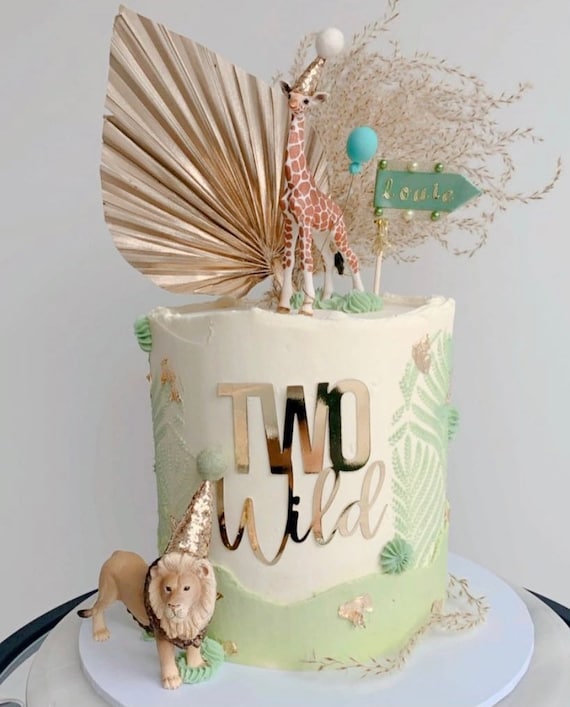 Wild Cake Ideas