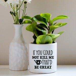 Funny Flower Pot Svg, Plant Pot Svg, House Plant Svg, Planter Sayings Svg, Succulent Svg, Cactus ...