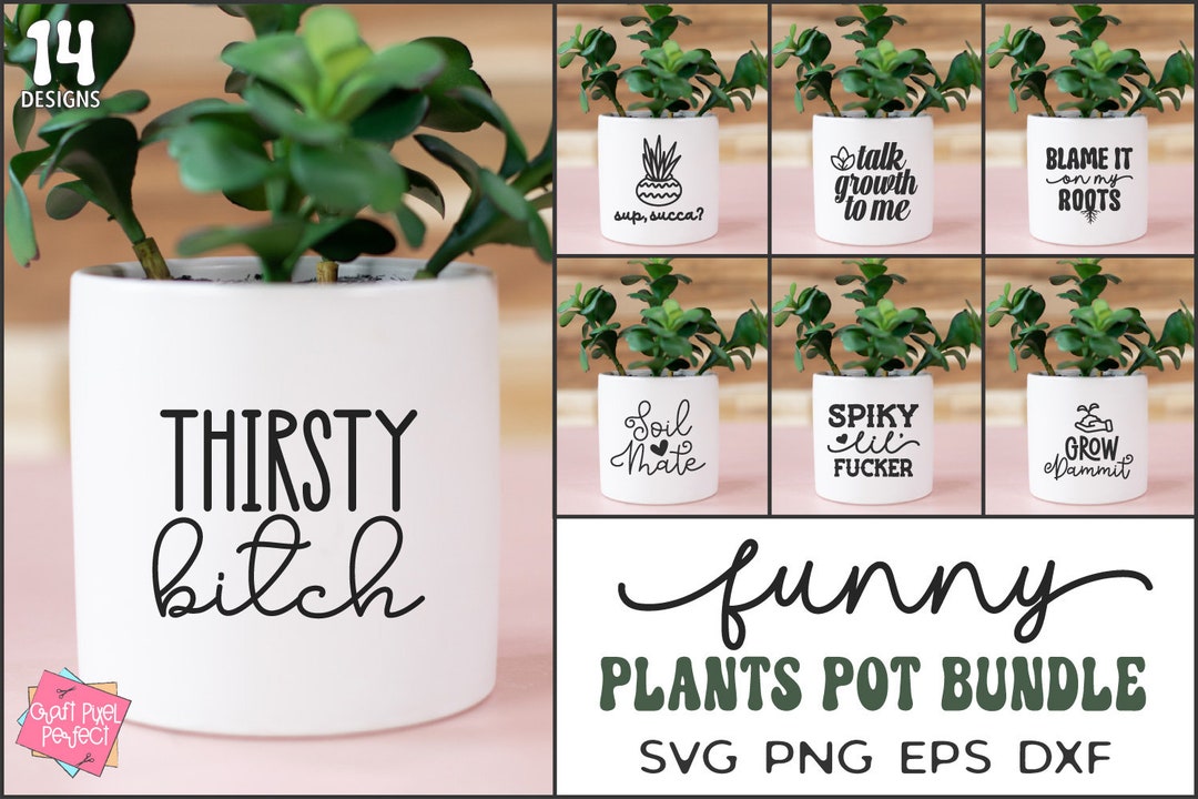 Funny Planter Sayings Svg, Succulent Svg, Cactus Svg, Plant Puns Svg ...