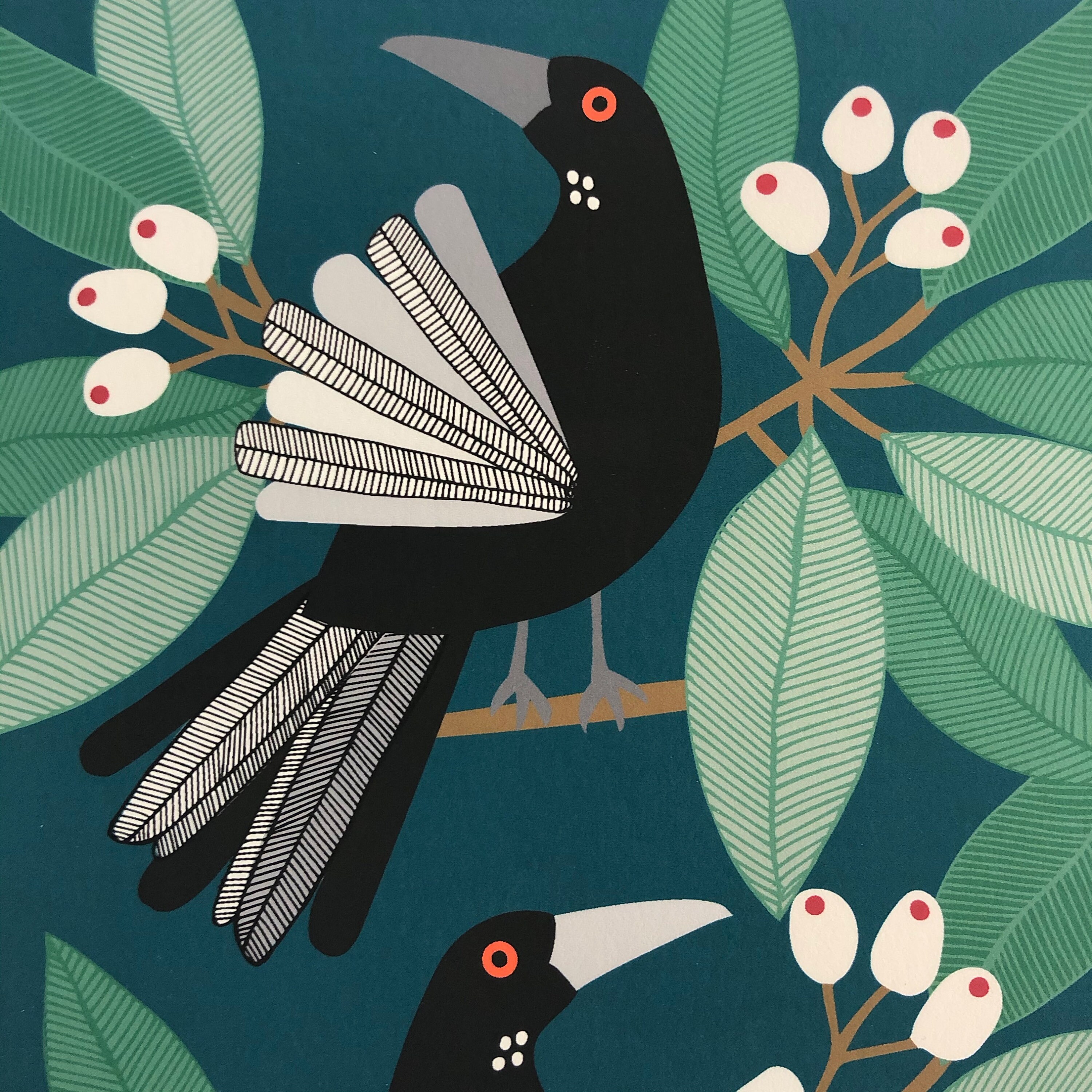 Australian Birds Magpie Giclee Art Print - Etsy
