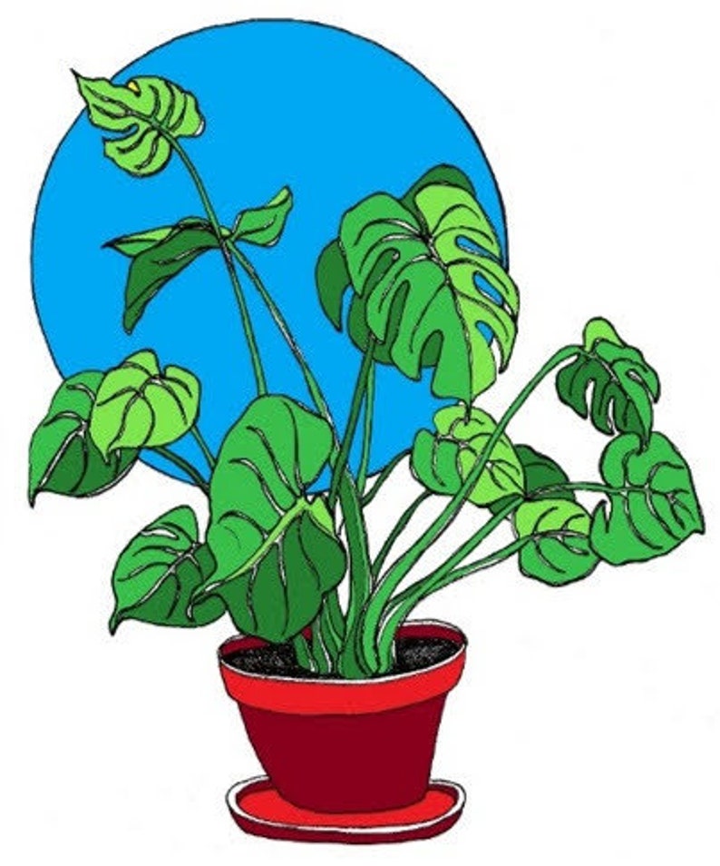 Monstera Plant Ink Drawing Print - Etsy