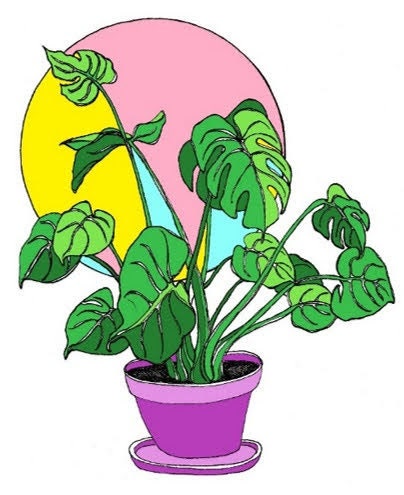 Monstera Plant Ink Drawing Print - Etsy