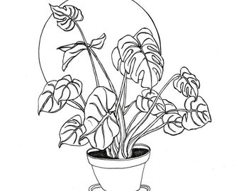 Pathos Plant Colored Pencil Drawing Print | Etsy