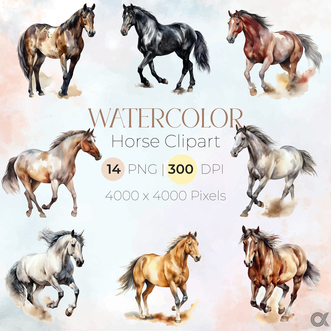 14 Watercolor Horse Clipart - 300 Dpi PNG Files -watercolor Horse ...