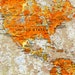 Push Pin Travel Map World Map Canvas Orange Old Wall Effect - Etsy