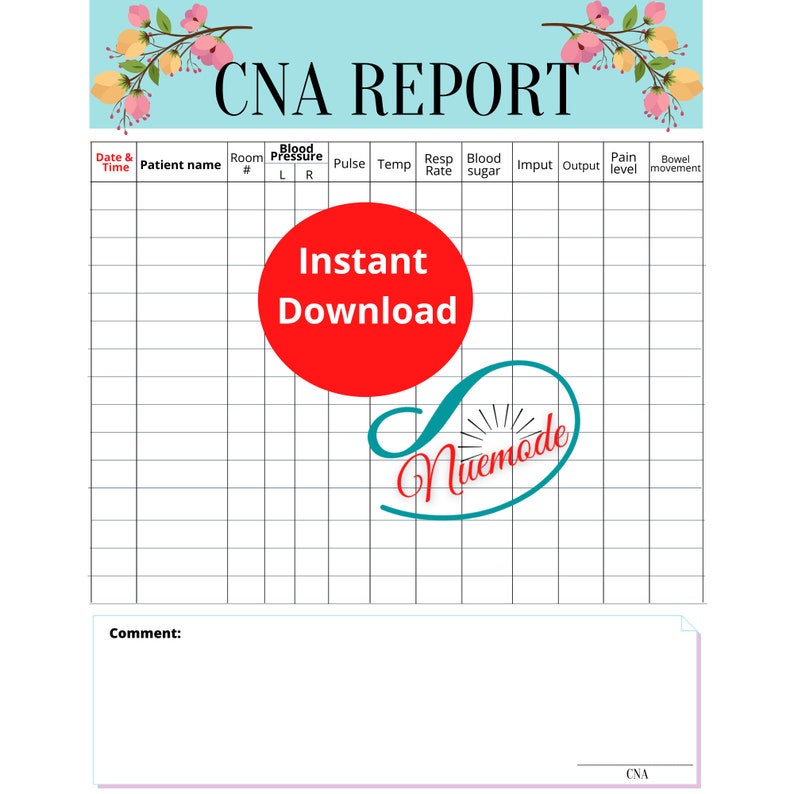 CNA Care Report Sheet - Etsy