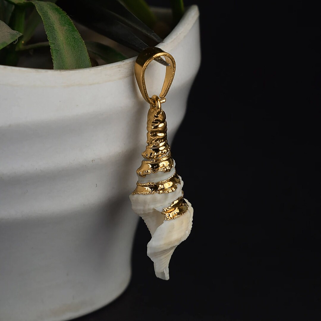 Natural Banded Tulip Sea Shell Designed Pendant State Shell - Etsy