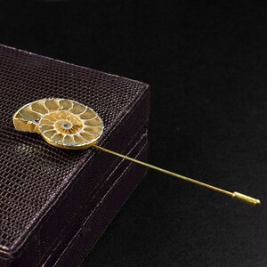 Natural Ammonite Brooch Pin \ Gemstone Brooch \ Pearl Stone Brooch ...