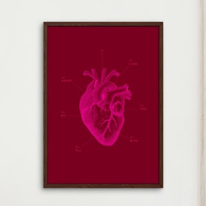 Heart Diagram Love Message Poster Print. A4 Print of a Woodcut Heart ...