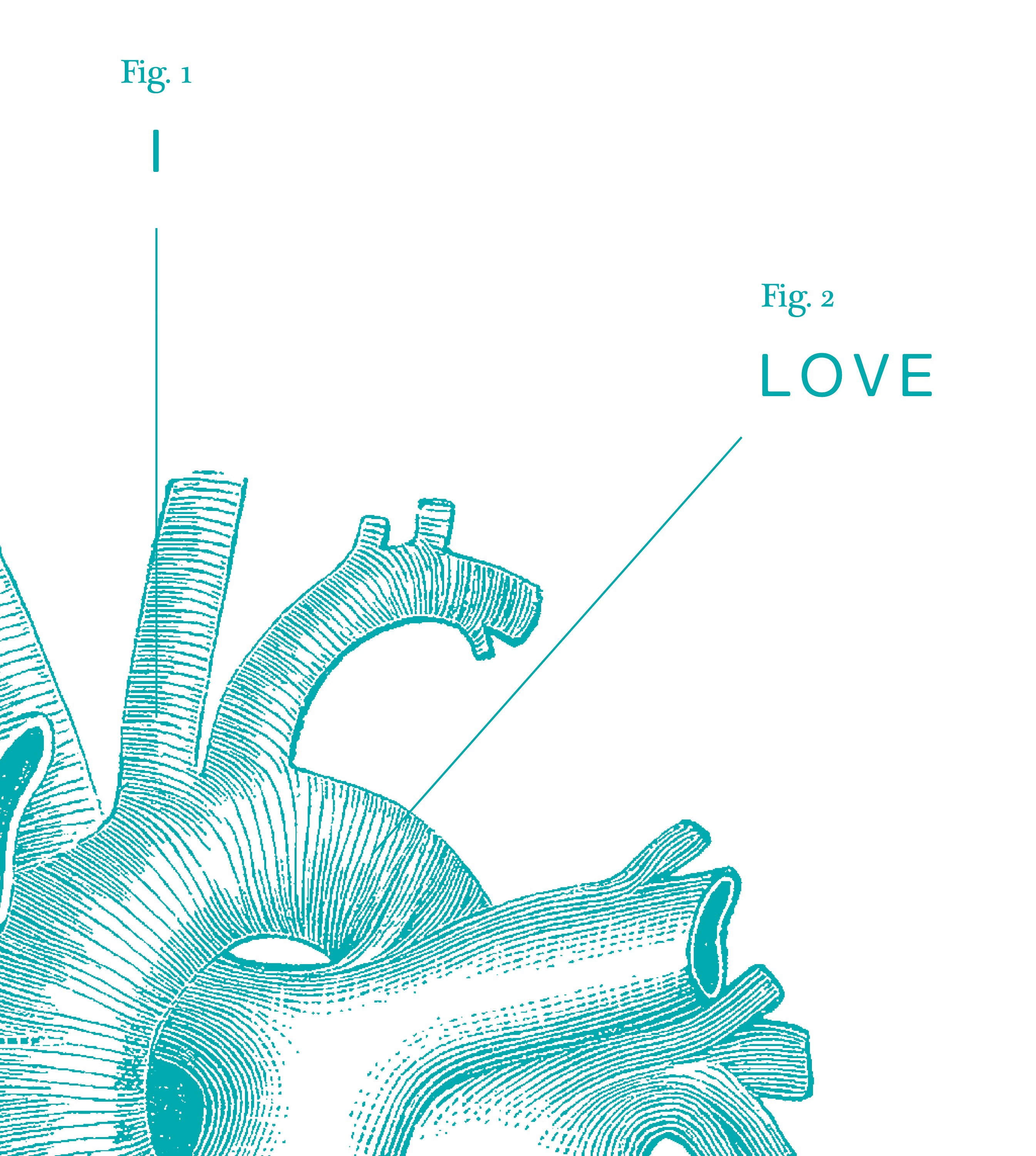 Anatomical Heart Print: I Love You Message, Vintage Woodcut Style - Etsy