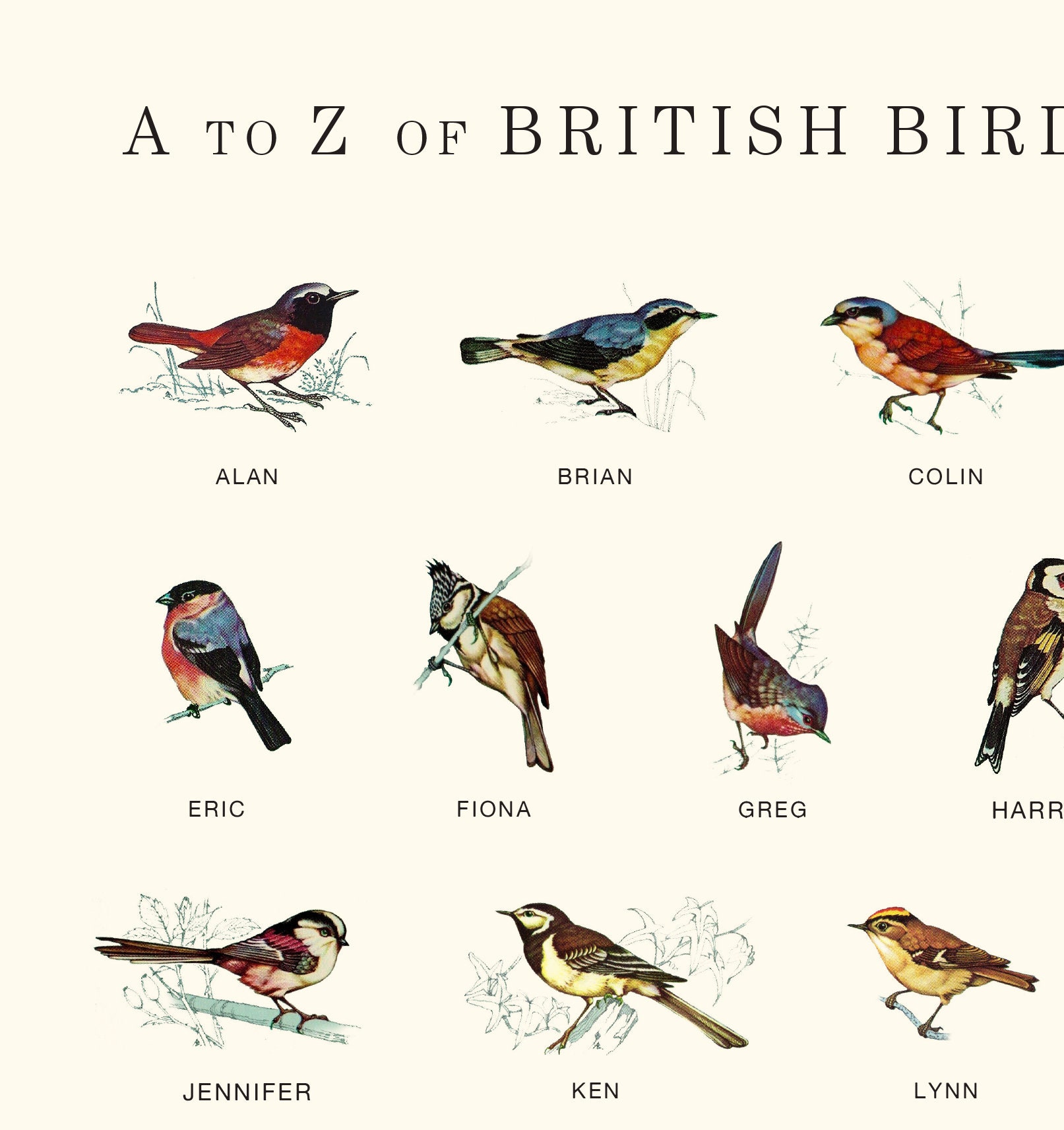 A to Z of British Bird Names Poster (retro Vintage Humour) - Etsy