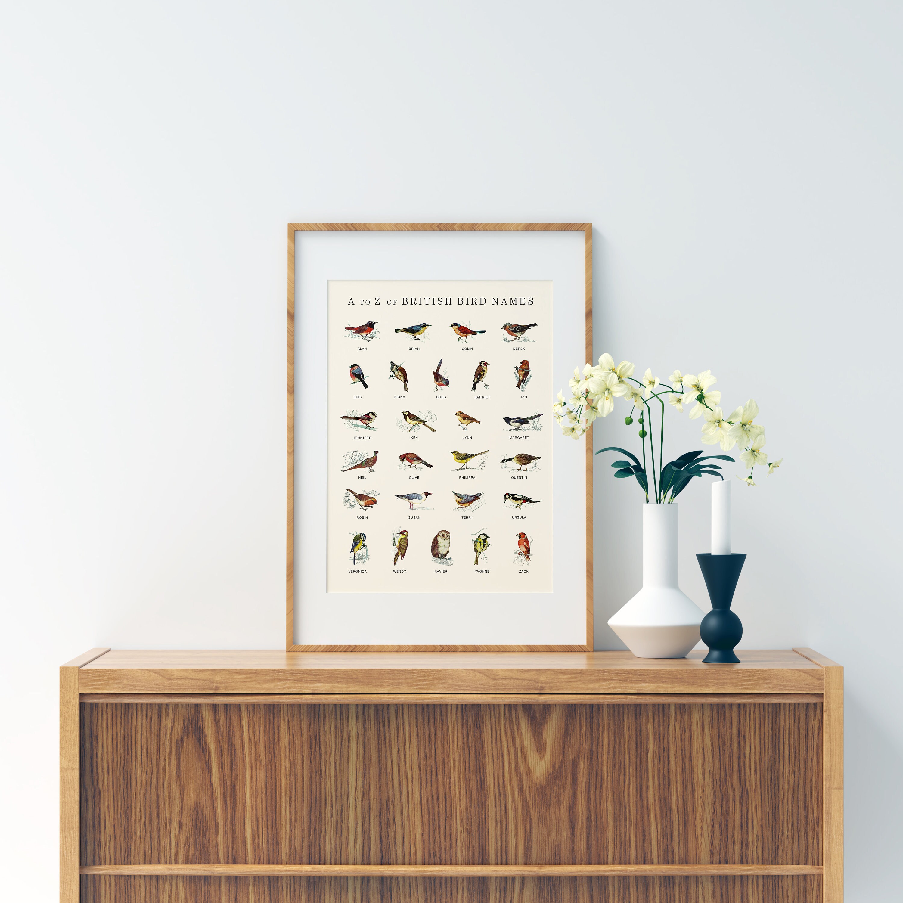 A to Z of British Bird Names Poster (retro Vintage Humour) - Etsy
