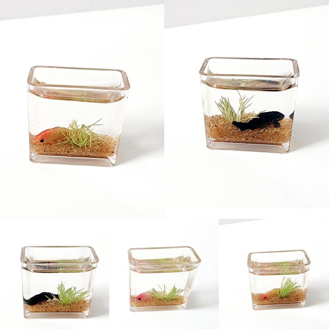 Miniature Dollhouse Fish Tank Aquarium - Etsy