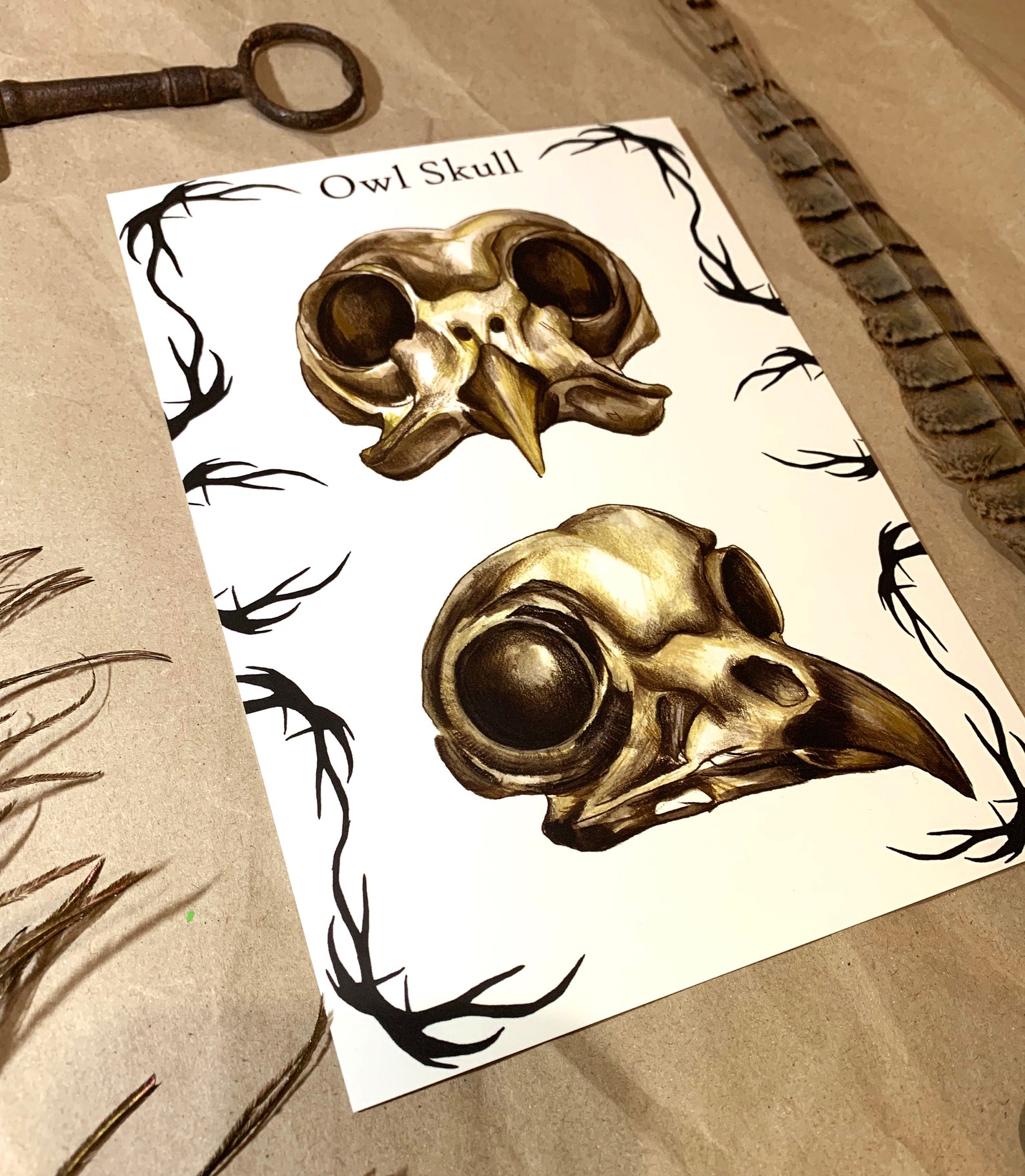 Owl Skull Print Illustration Art Print Bird Skull Horror - Etsy