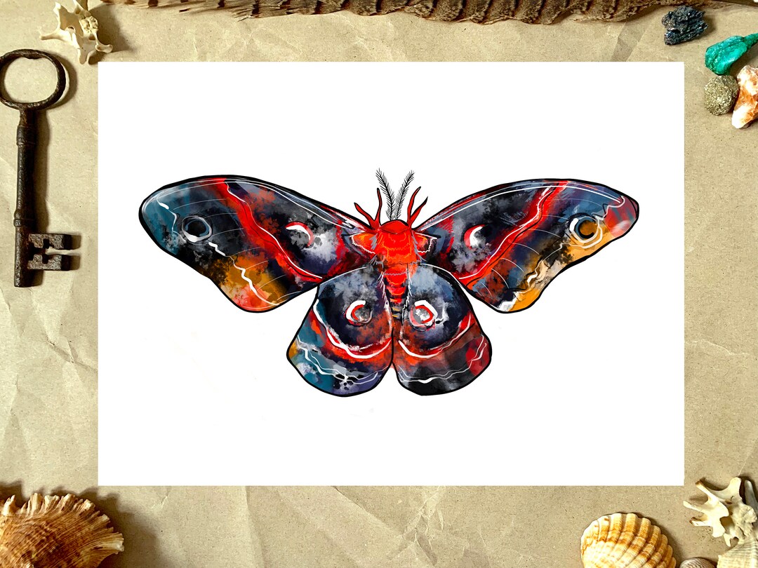Colorful Hawk Moth Art Print: Surreal Insect Illustration - Etsy UK
