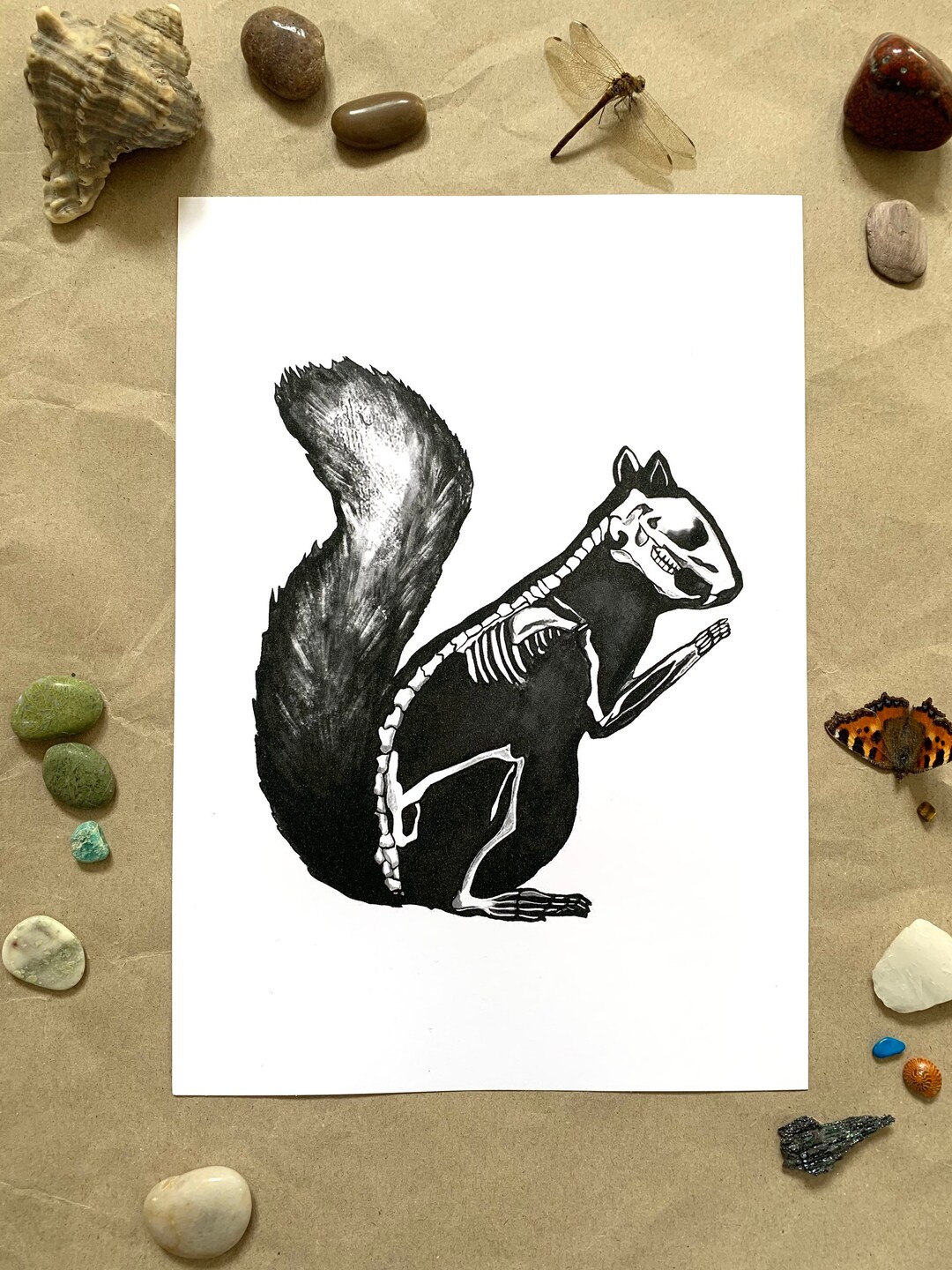 Skeletal Squirrel Illustration Art Gothic Print Horror - Etsy