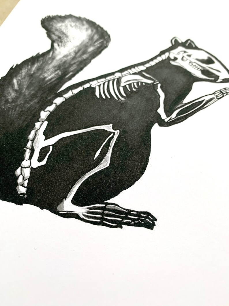Skeletal Squirrel Illustration Art Gothic Print Horror - Etsy