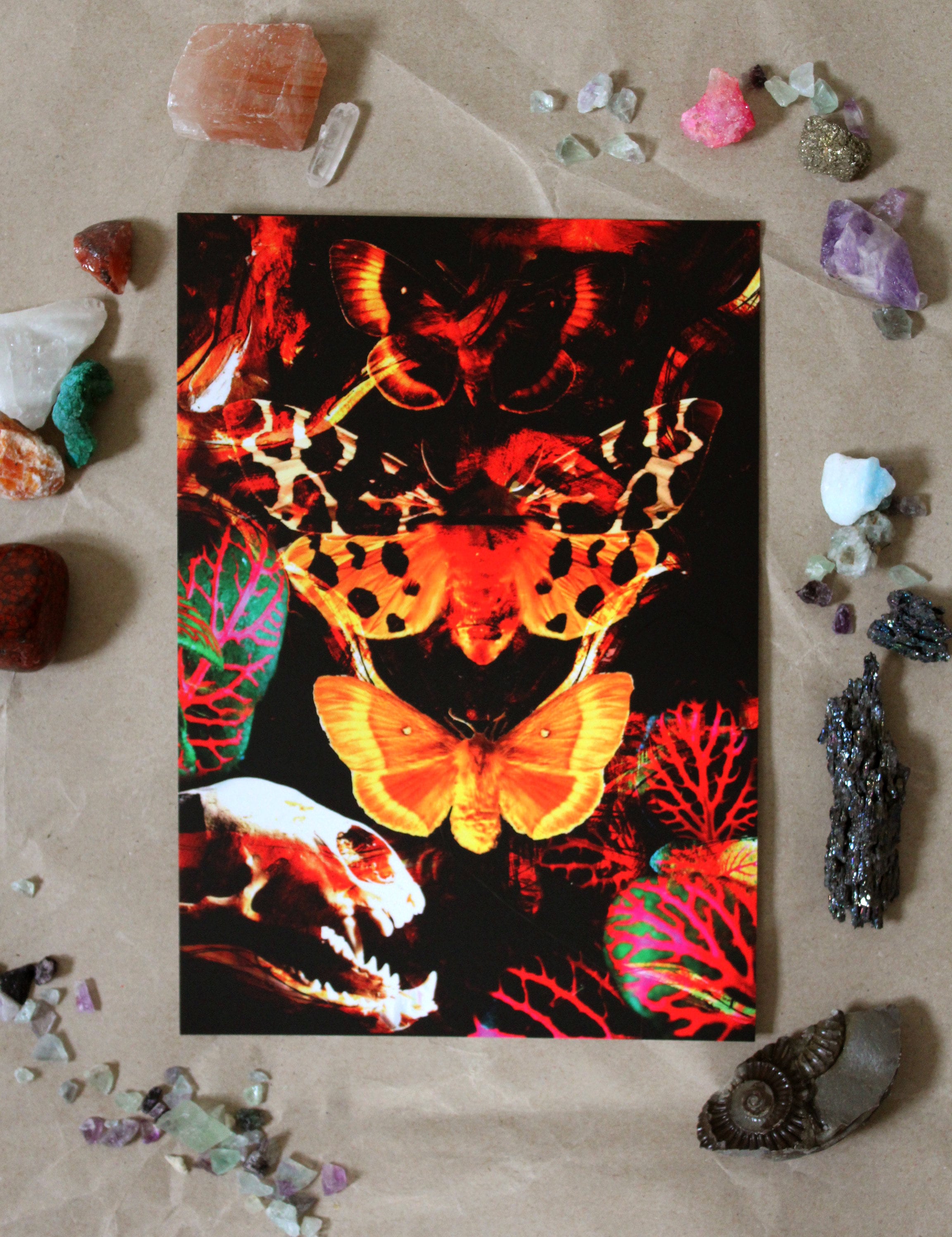 Moth Entomology Illustration Art Print Insect Horror - Etsy