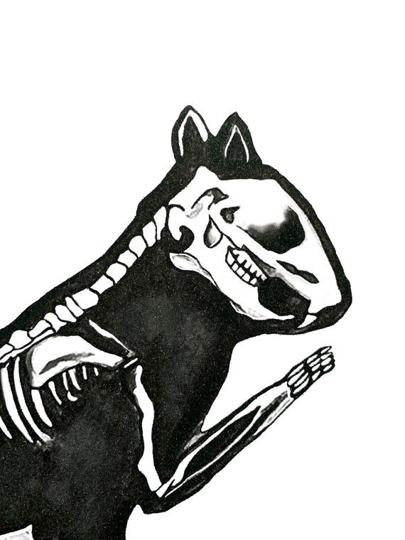 Squirrel Skull Drawing