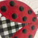 Signs, Ladybug Sign, Ladybugs, Ladybug Wreath Sign, Wreath Center ...