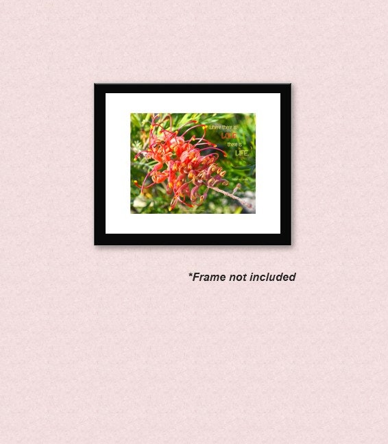 Gandhi Quote Wall Art, Where There is Love There is Life, Grevillea ...