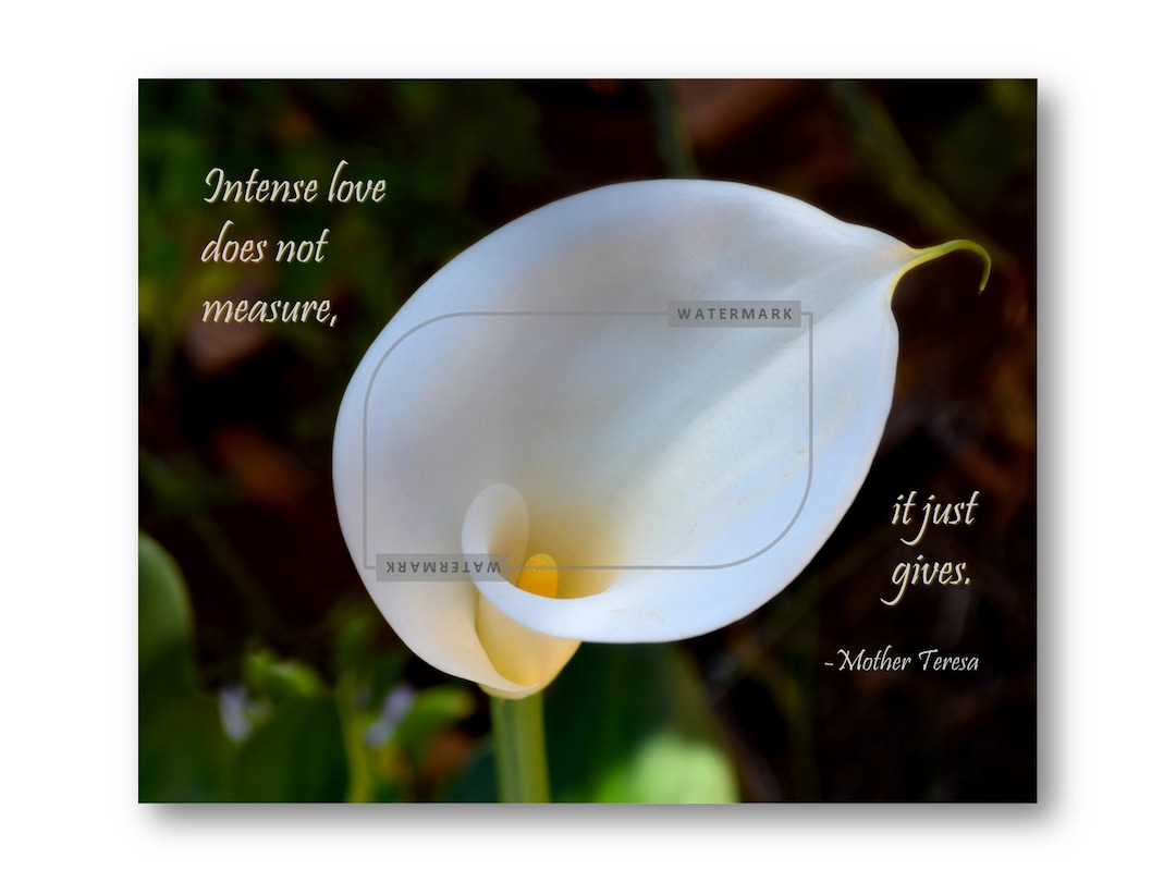 Mother Teresa Love Quote, Lily Quote Art, Spiritual Love Quote Canvas ...