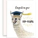 Diploma Llama High School Graduation Cards Funny - College Graduation ...