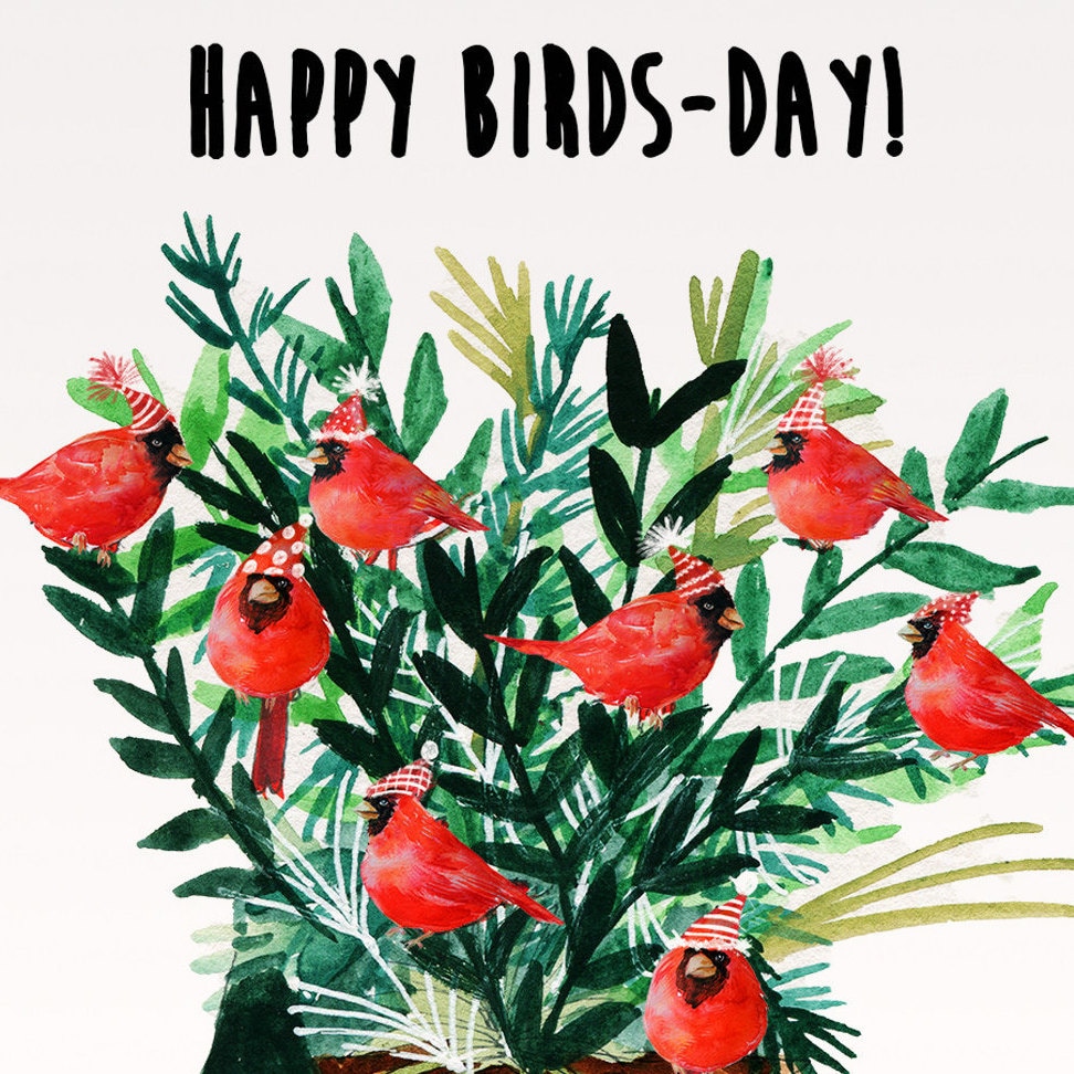 Cardinal Bird Birthday Cards For Mom Happy Birds Day Floral | Etsy