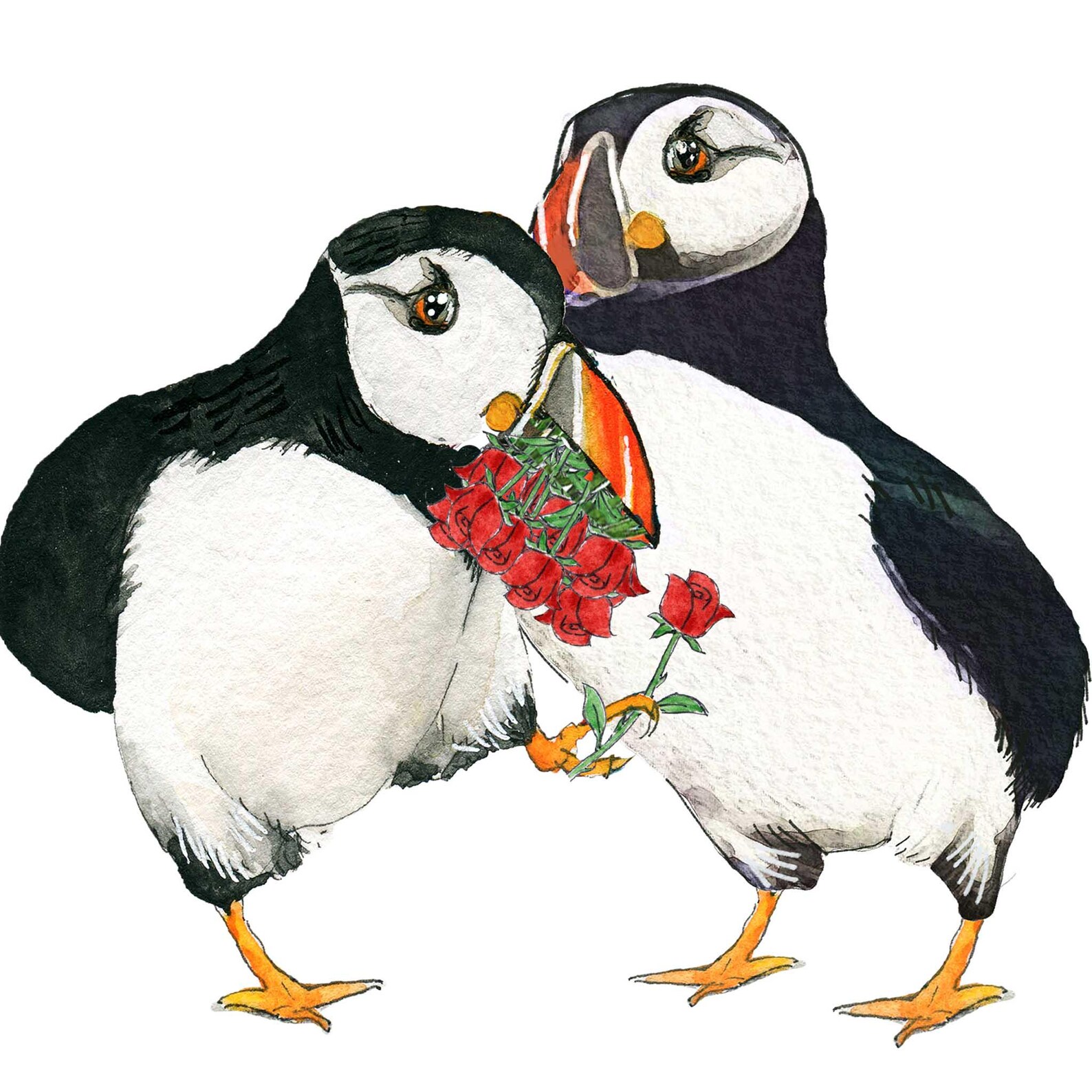 Puffin Bird Funny Anniversary Card for Husband - I Puffin Love You ...