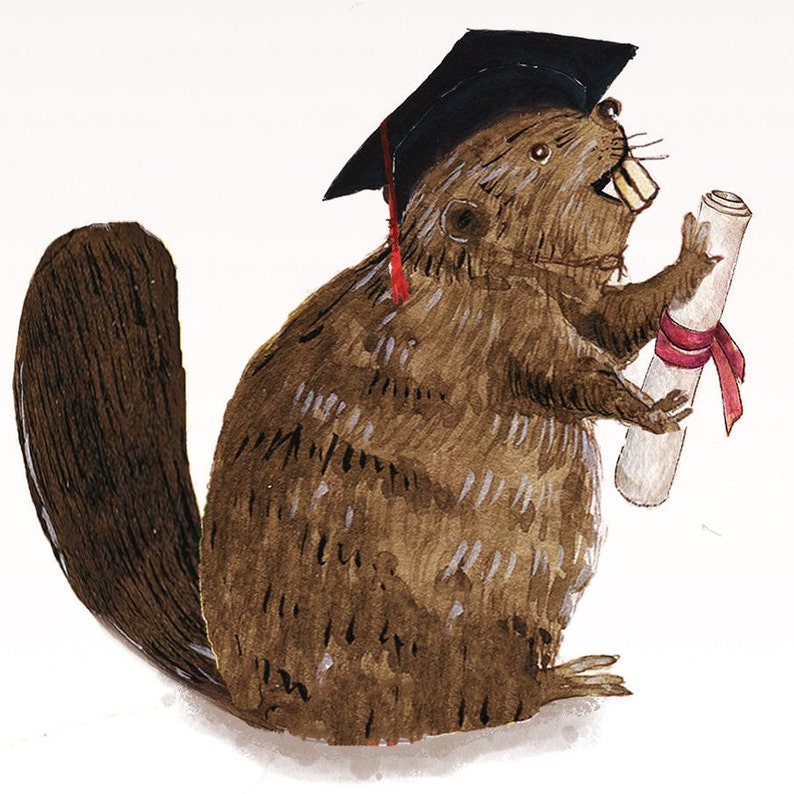 Beaver Funny Graduation Card for Son Oh Damn Proud of You - Etsy