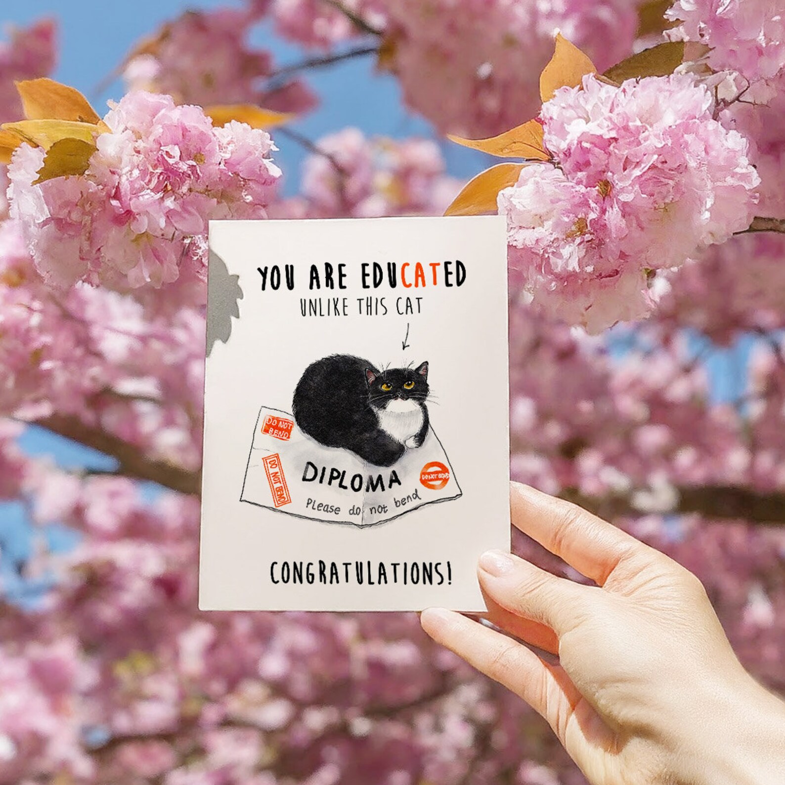 Cat Bent Diploma Funny Graduation Card 2025 - Texedo Cat Graduation ...